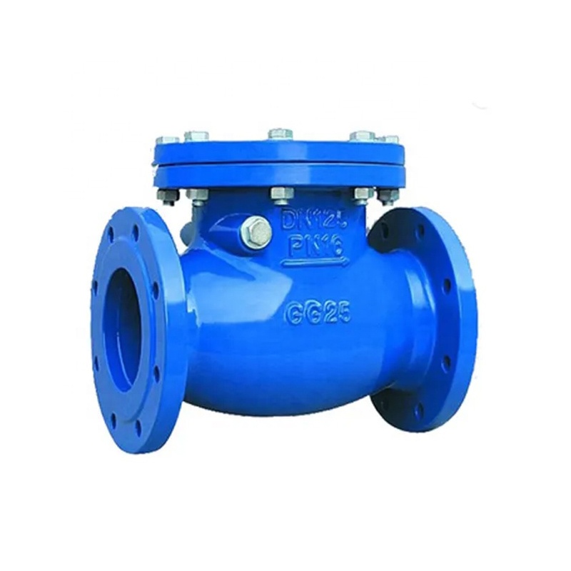 Swing Type Check Valve